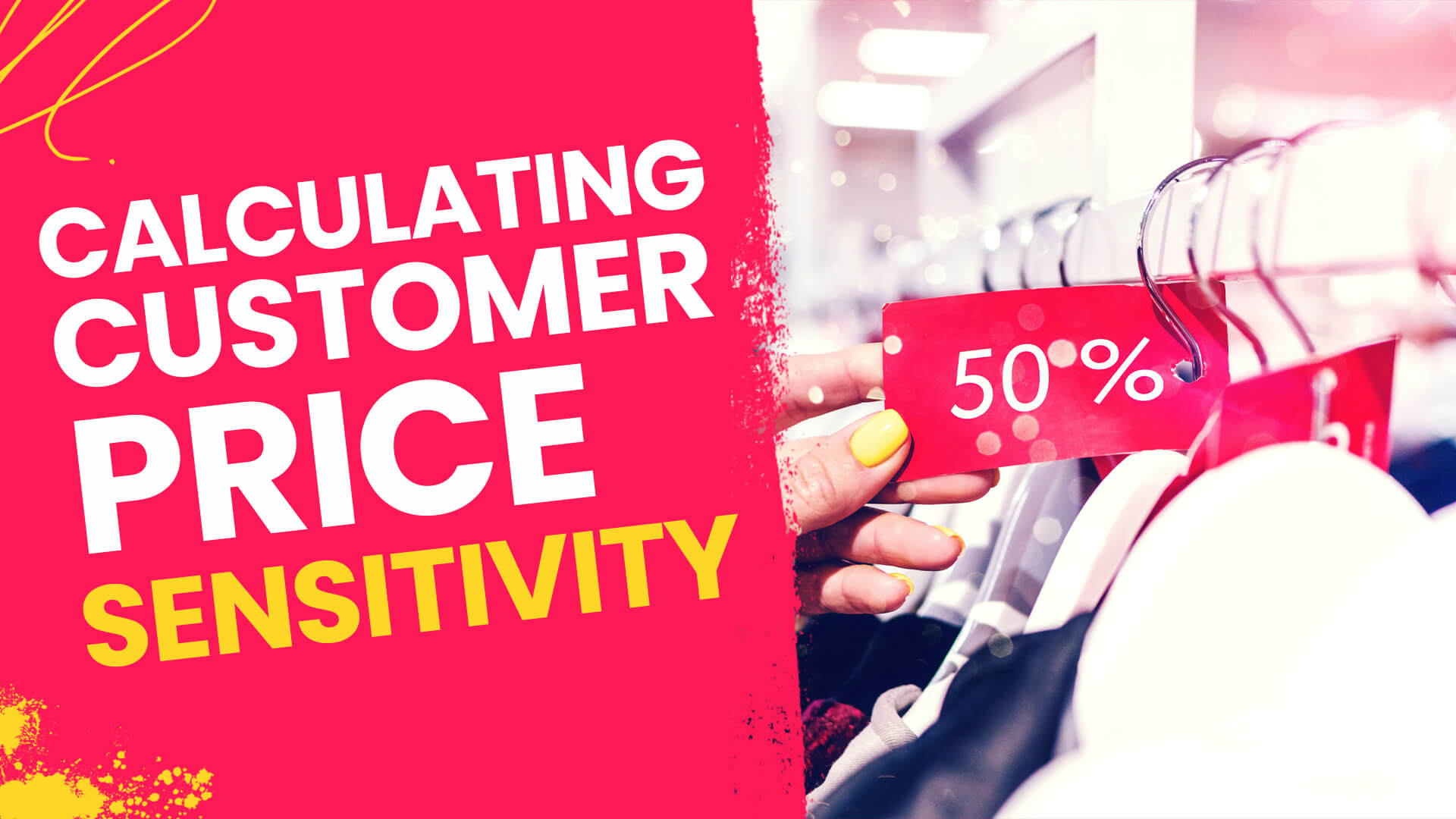 calculating-customer-price-sensitivity